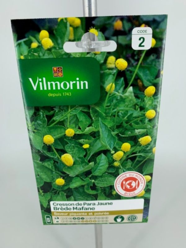 Cresson de Para Jaune Brède Mafane - Graine Vilmorin dans un magasin ...